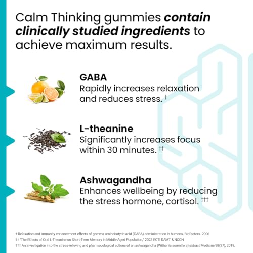 90 gummies for daily stress management