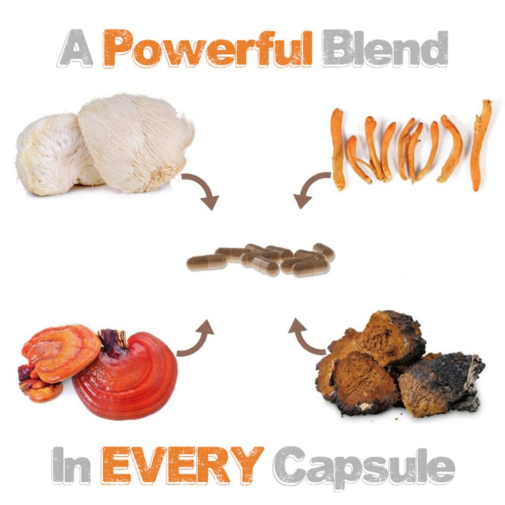 90 pills of blended mushroom extract
