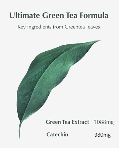 90 tablets of green tea extract