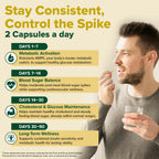 90 veg capsules for daily use