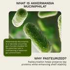 90 vegan probiotic capsules