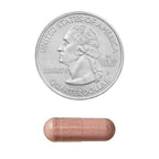 90 vegetarian capsules for daily use