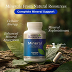 90 vegetarian capsules for mineral support