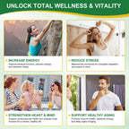 900 mg NAD+ multivitamin capsules