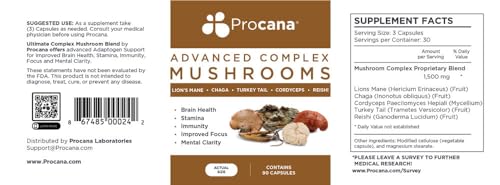 90ct bottle of powerful mushroom supplements