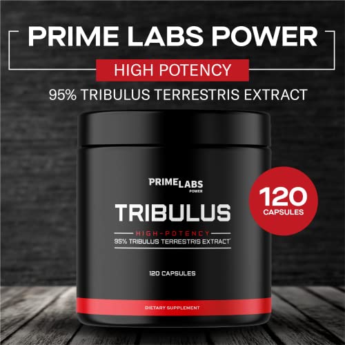 95% saponins tribulus health support