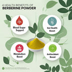 97% pure berberine for health