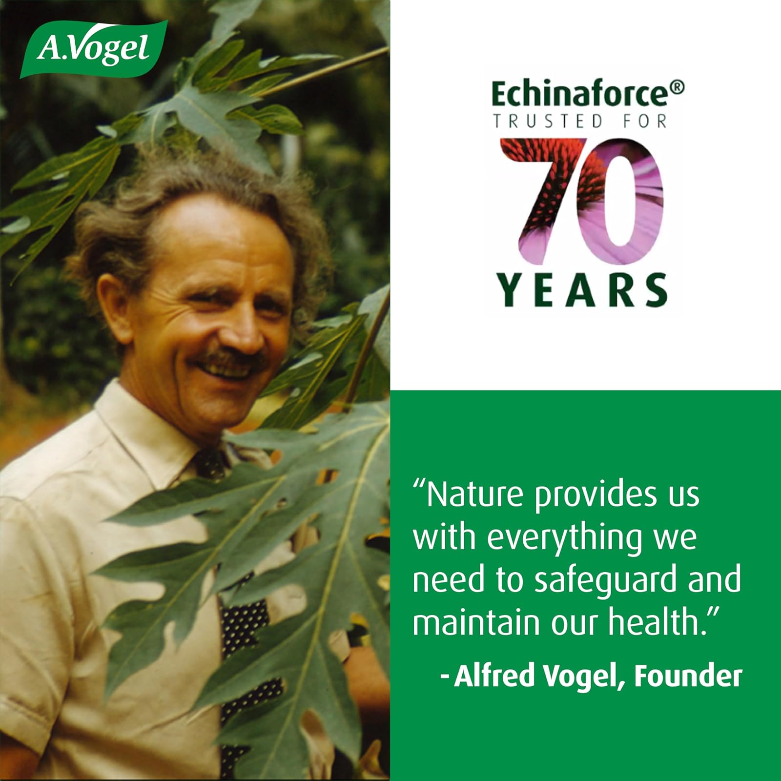 A. Vogel echinacea for daily vitality