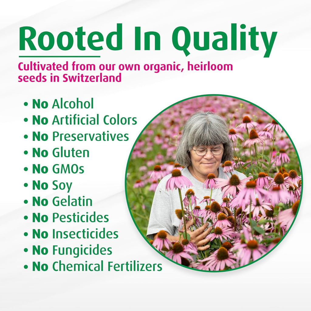 A. Vogel echinacea health benefits