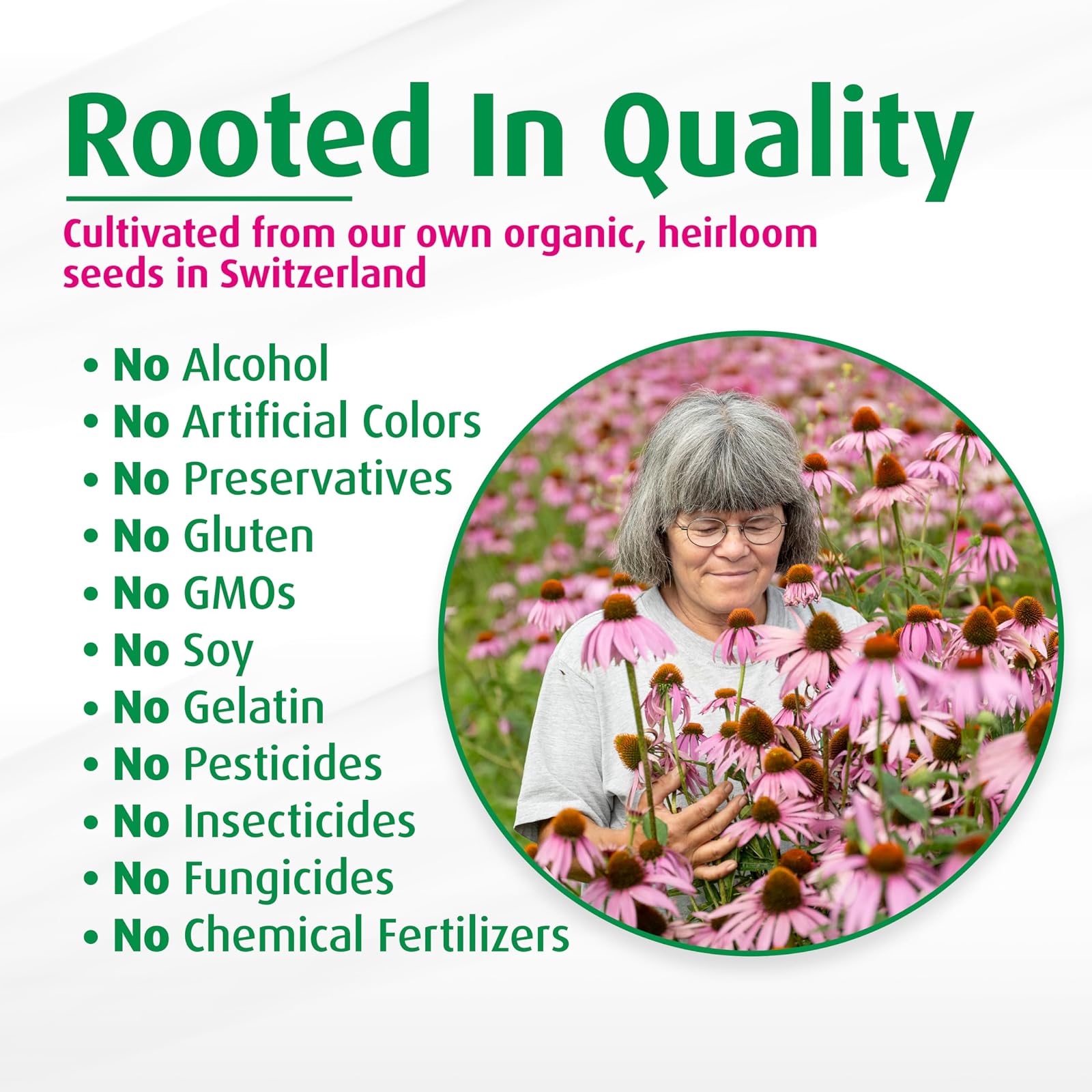 A. Vogel echinacea health benefits