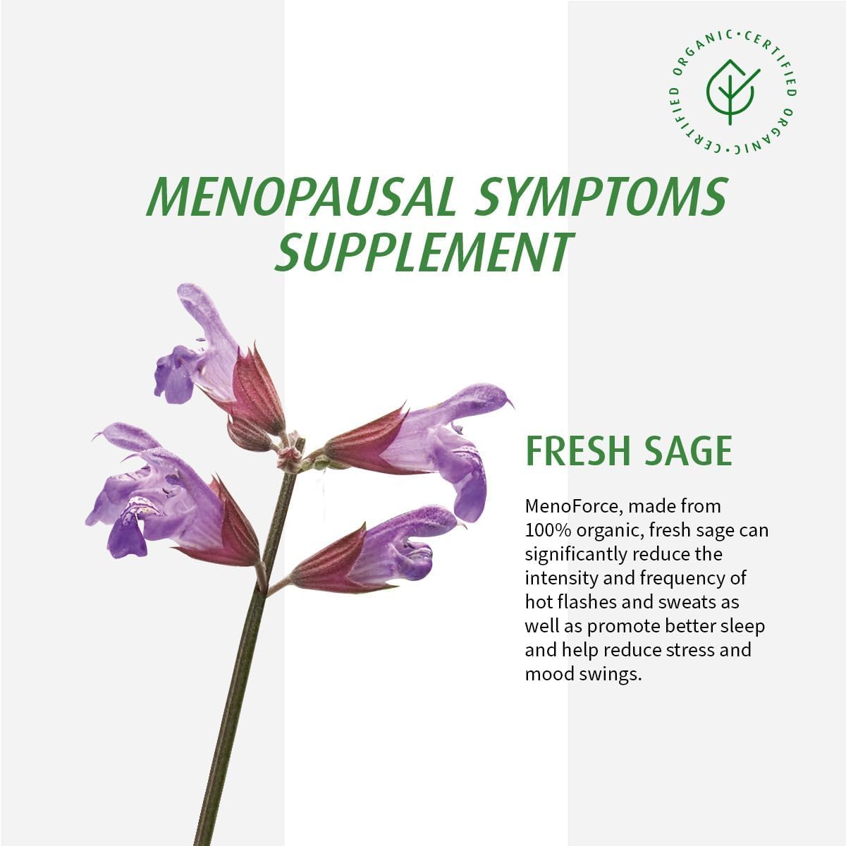 A Vogel multivitamin for balanced nutrition