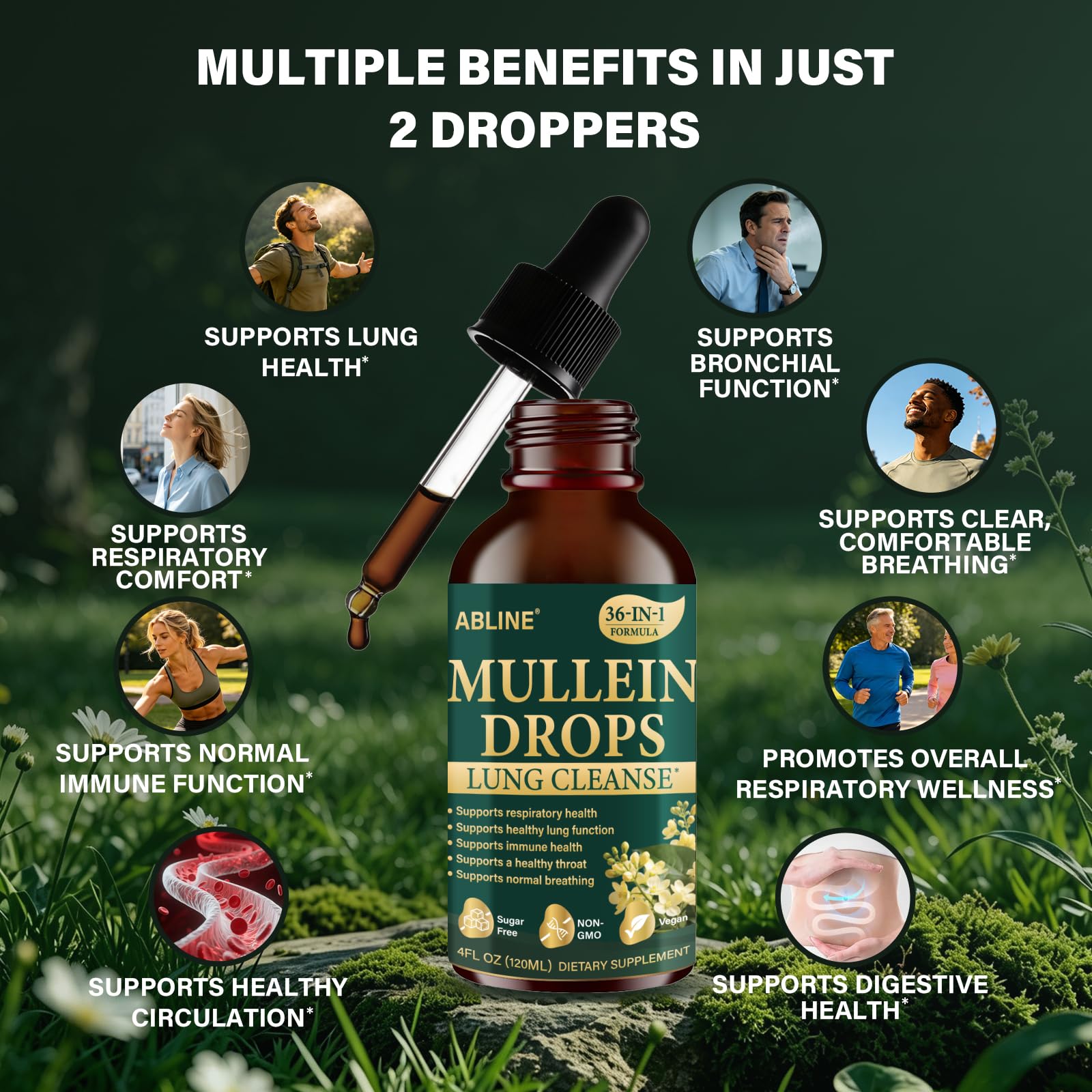 Abline herbal mullein extract benefits