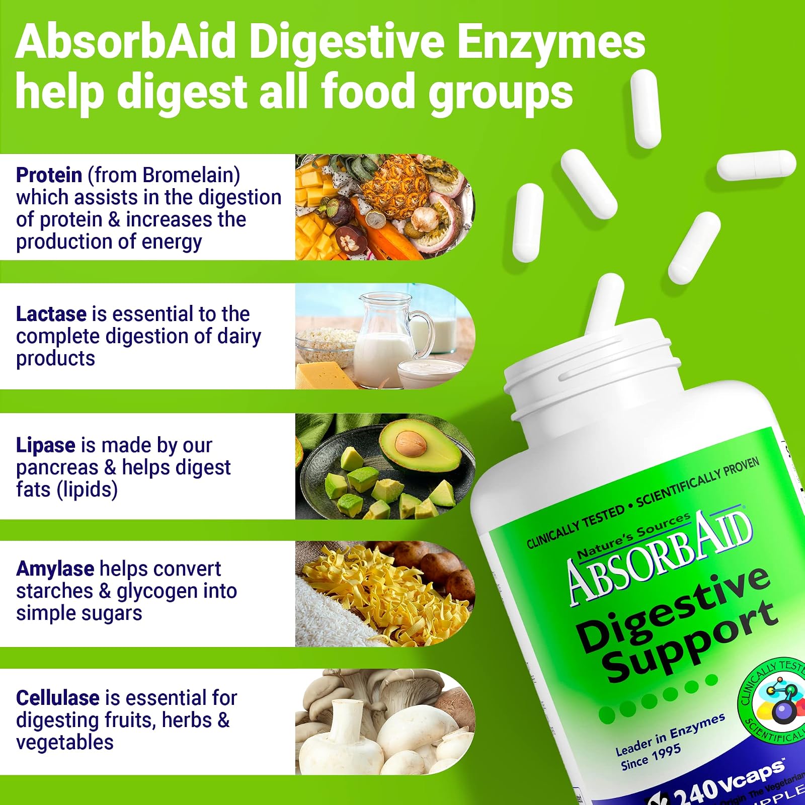 AbsorbAid digestive enzymes promote healthy digestion