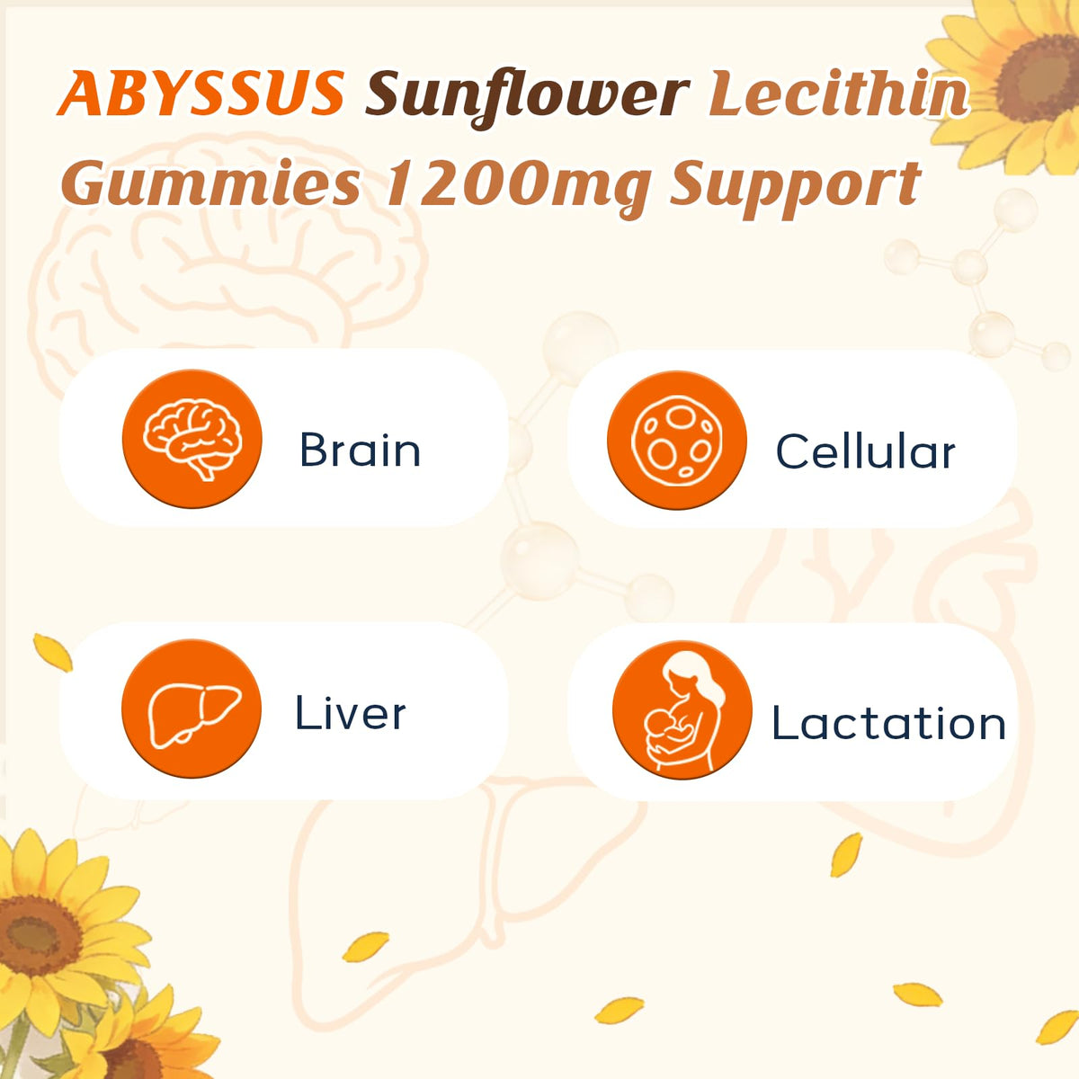 ABYSSUS multivitamins for brain support