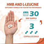 ABYSSUS muscle support with HMB