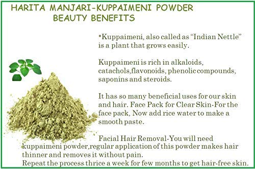 Acalypha Indica powder for skin health