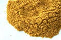 Acerola berry extract powder benefits