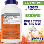 acetyl l-carnitine brain health