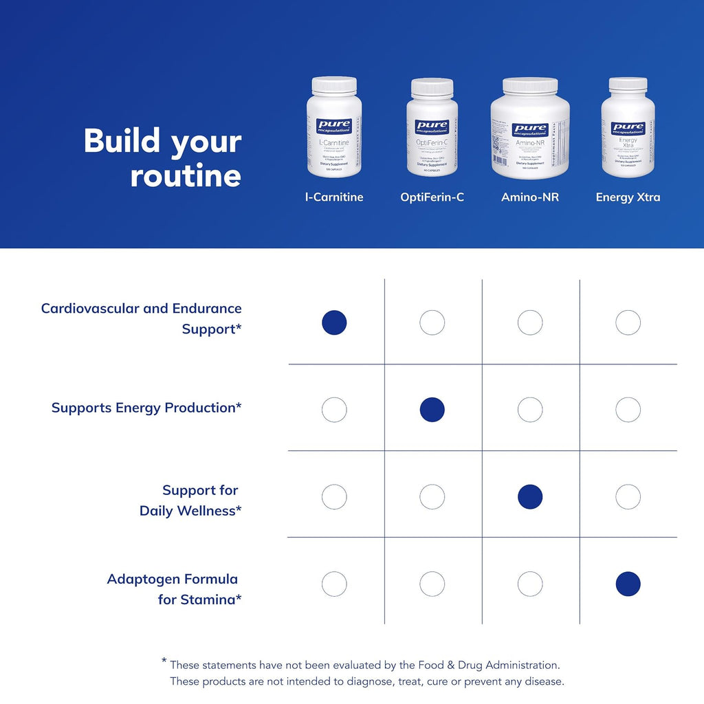 acetyl l-carnitine cognitive function