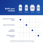 acetyl l-carnitine cognitive function