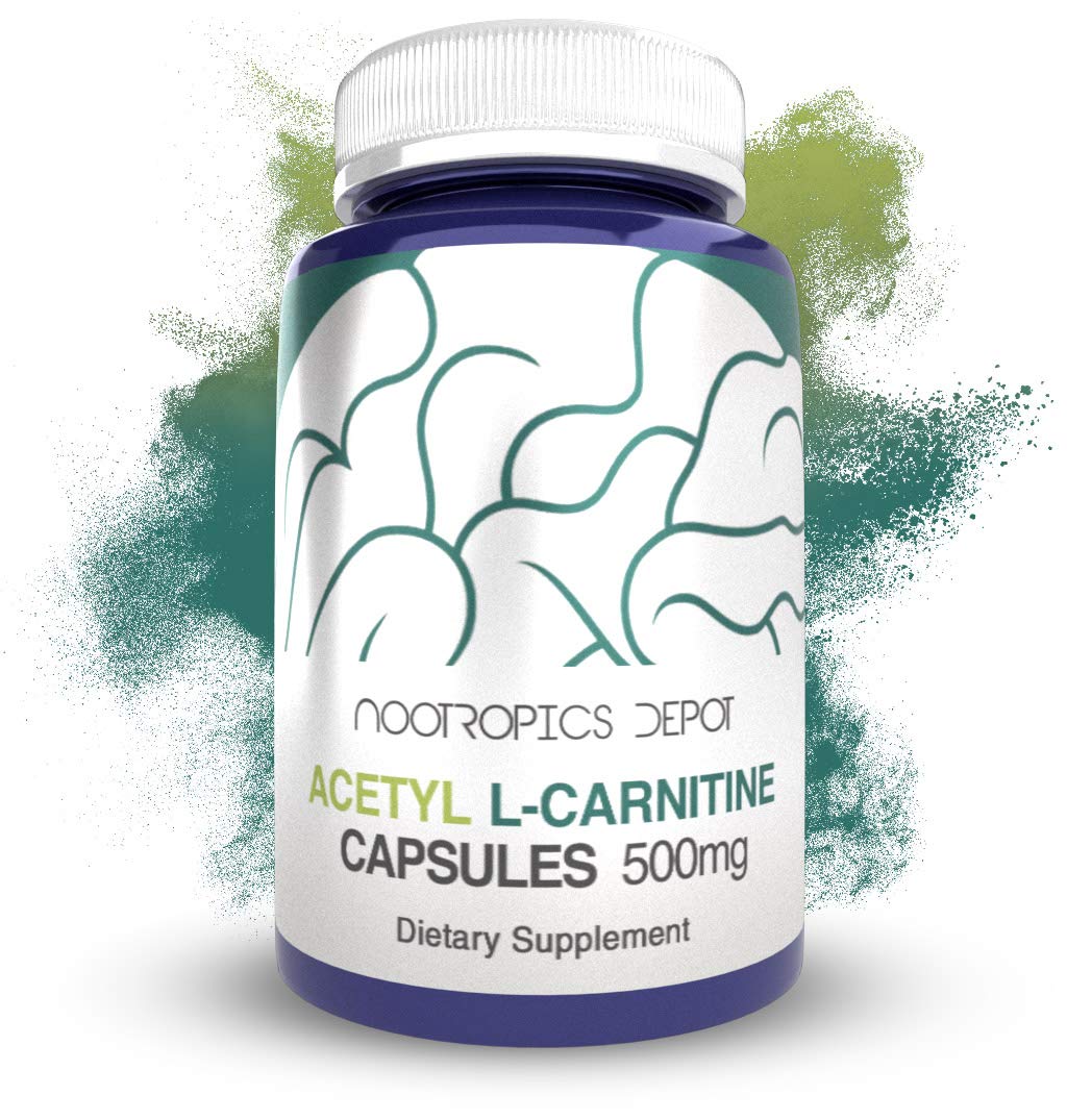 acetyl l-carnitine cognitive support capsules