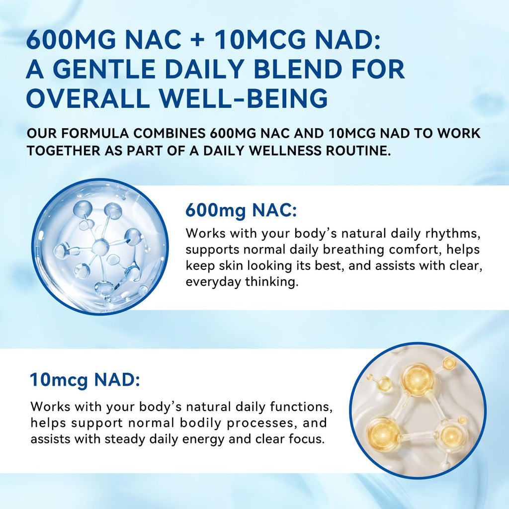 Acetyl L-Carnitine cognitive support