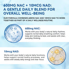 Acetyl L-Carnitine cognitive support