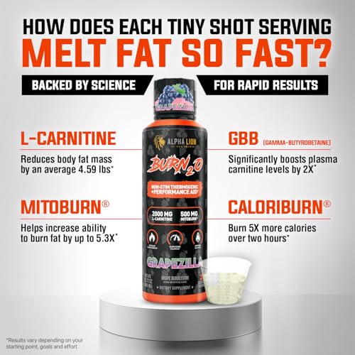 acetyl l-carnitine energy boost formula