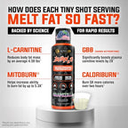 acetyl l-carnitine energy boost formula