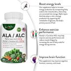 acetyl l-carnitine energy booster