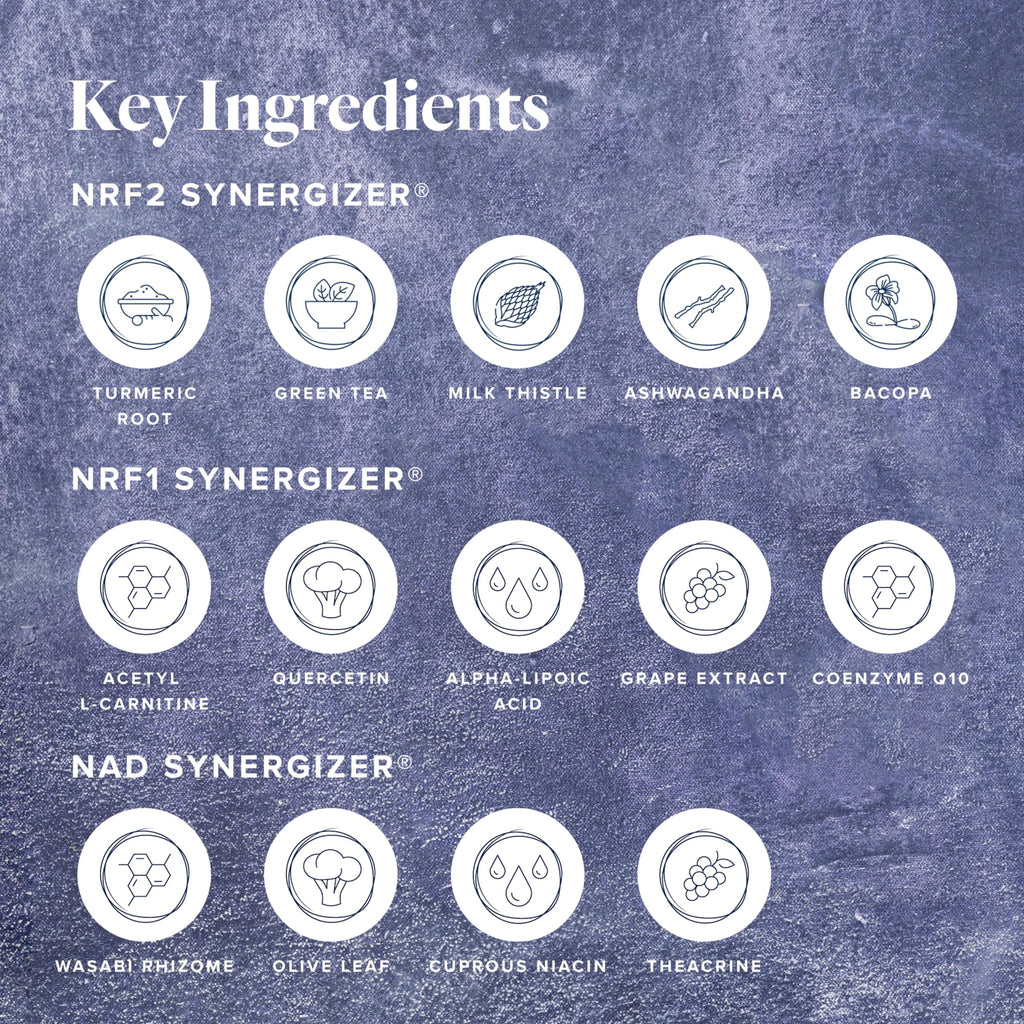 acetyl-l-carnitine for antioxidant protection