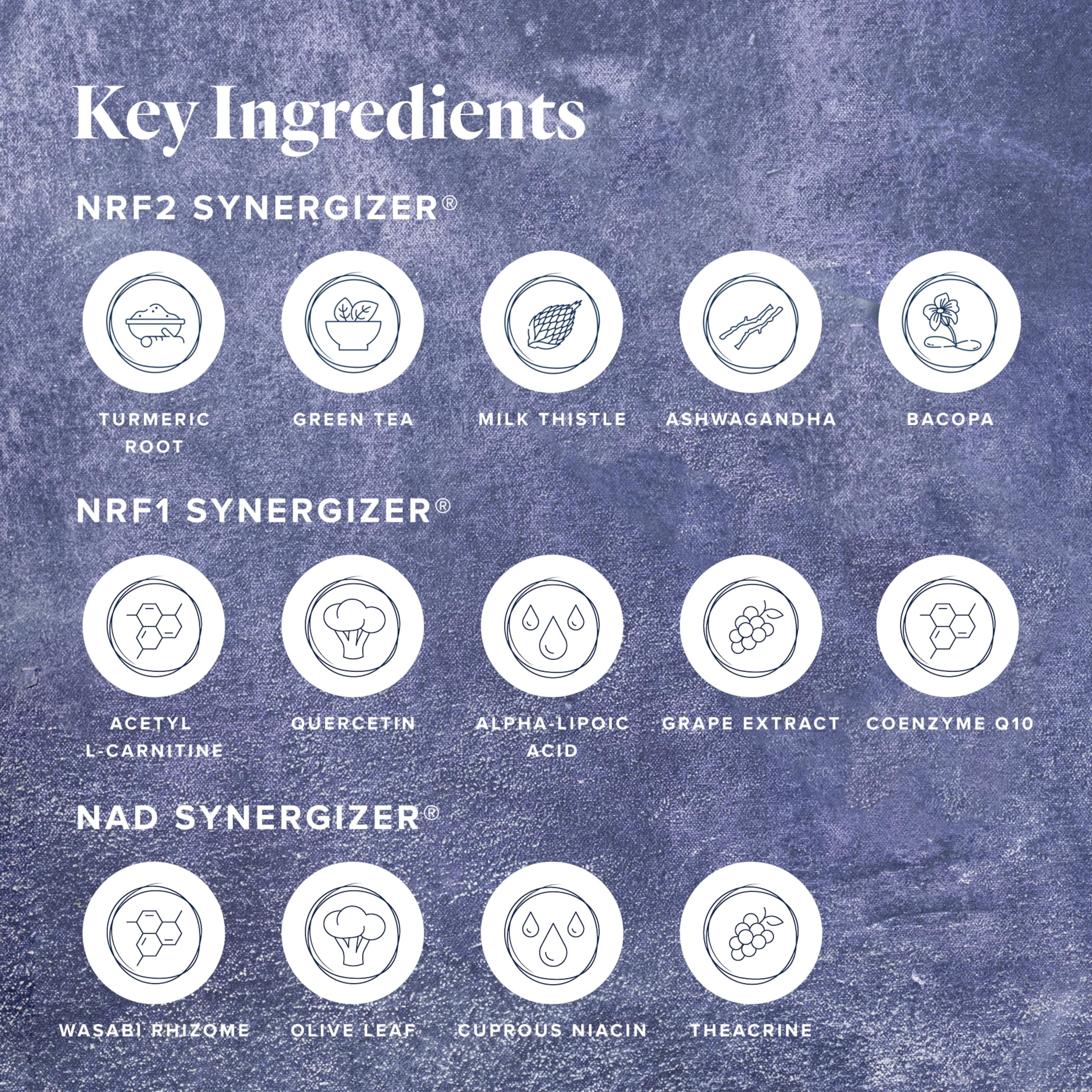 acetyl-l-carnitine for antioxidant protection