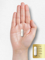Acetyl L-Carnitine for cognitive health