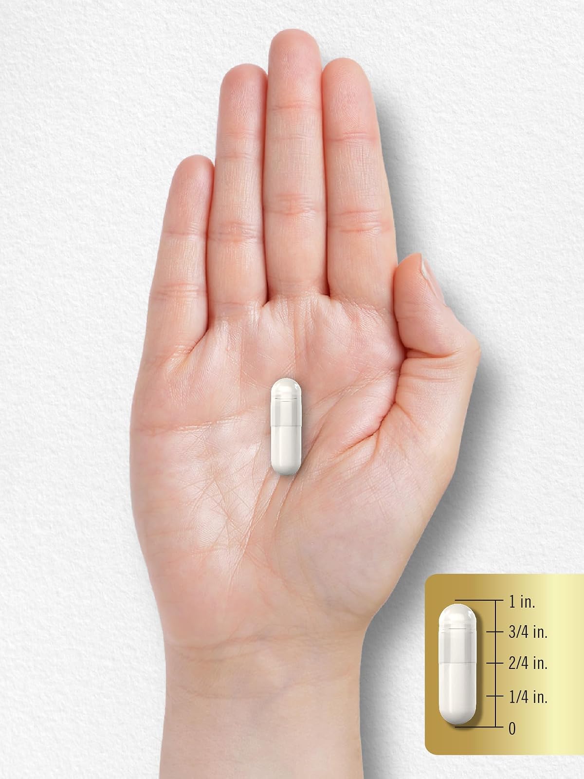 Acetyl L-Carnitine for cognitive health