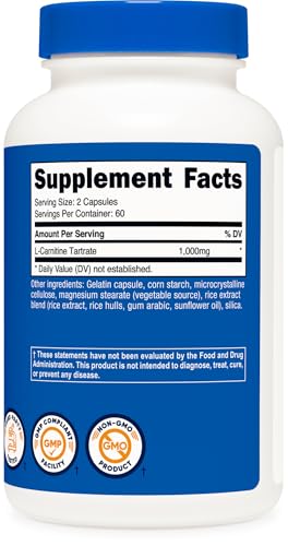 Acetyl L-Carnitine for cognitive health