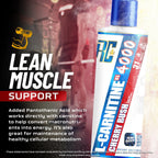 acetyl l-carnitine for energy boost