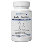 acetyl l-carnitine for energy boost