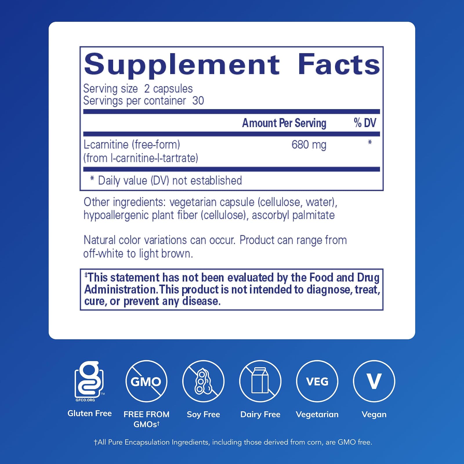 acetyl l-carnitine for energy support