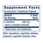 acetyl l-carnitine for energy support