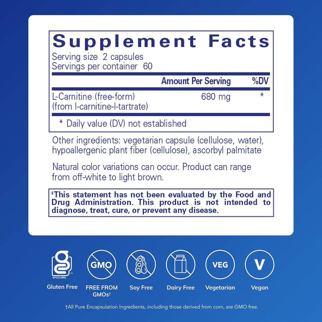 acetyl l-carnitine for energy support