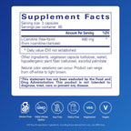 acetyl l-carnitine for energy support