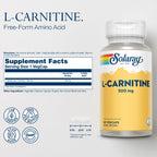 acetyl l-carnitine for energy