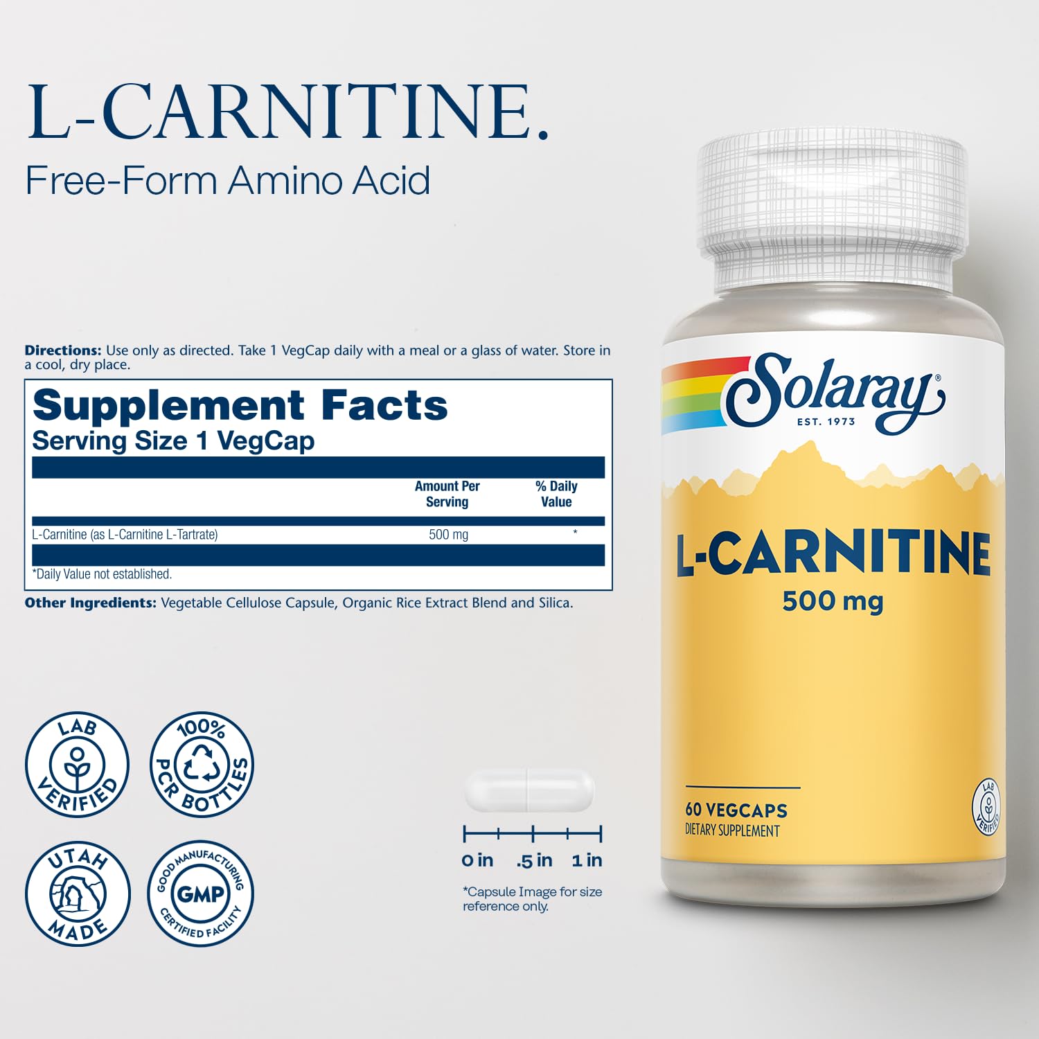 acetyl l-carnitine for energy