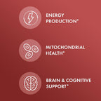 Acetyl L-Carnitine for energy
