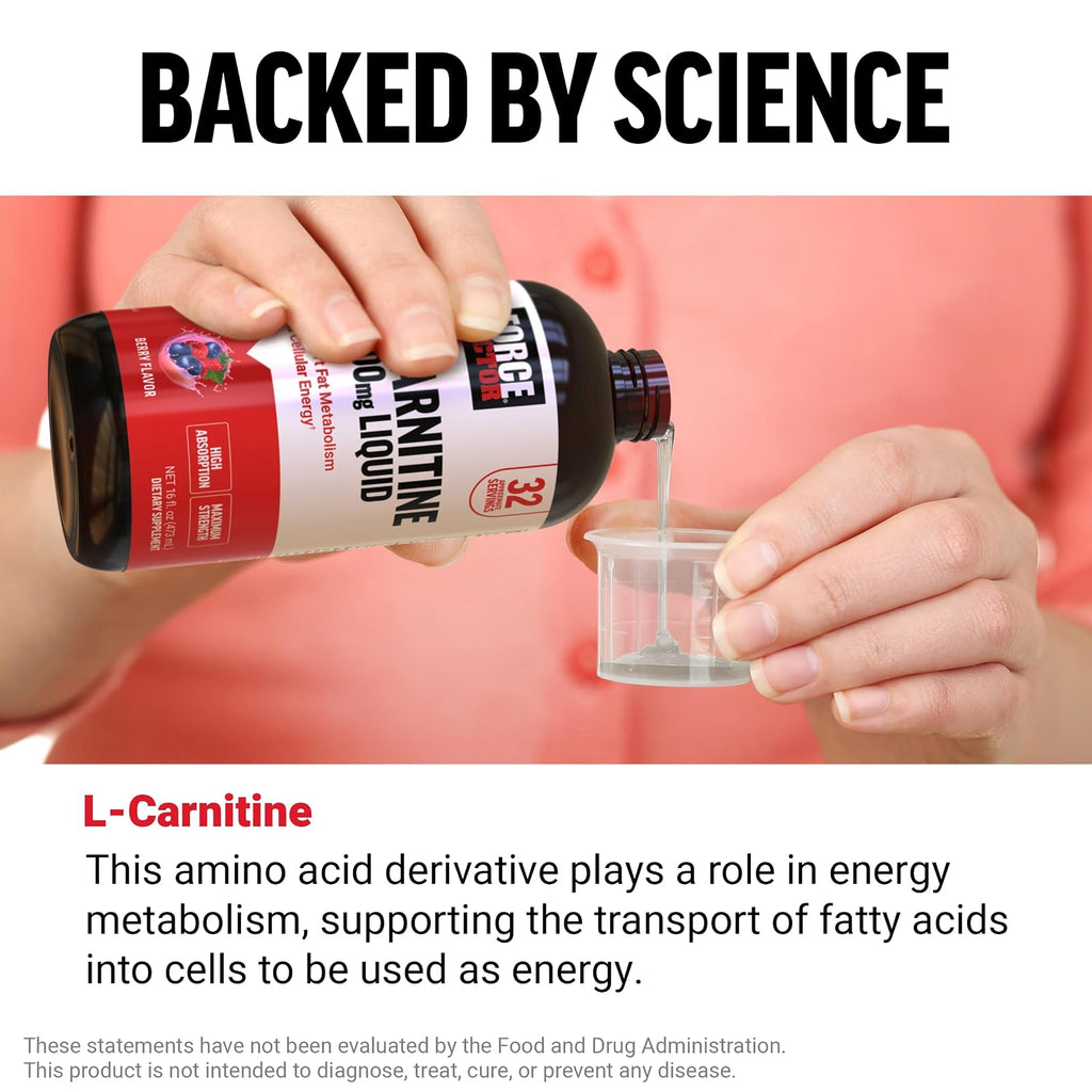 Acetyl L-Carnitine for fat burning