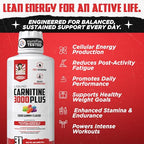 acetyl l-carnitine for fat burning