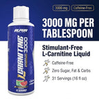 acetyl l-carnitine for fat metabolism