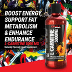 acetyl l-carnitine for fat metabolism