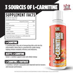 acetyl l-carnitine for fat metabolism