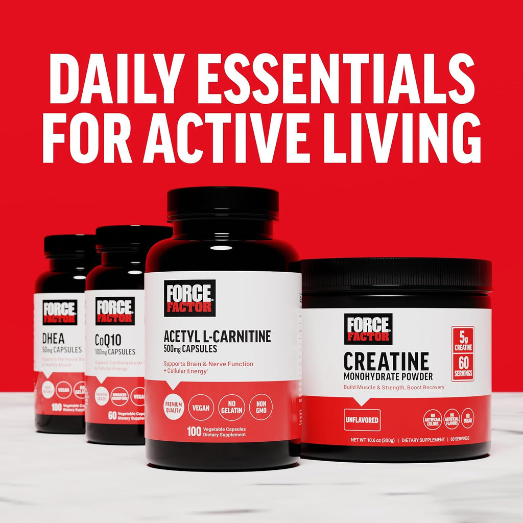 acetyl l-carnitine for improved endurance